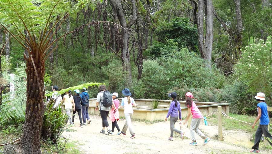 PGL Camp Rumbug, South Gippsland, Victoria